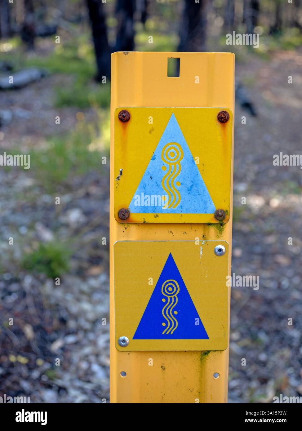 Biddi biddi hi-res stock photography and images - Alamy