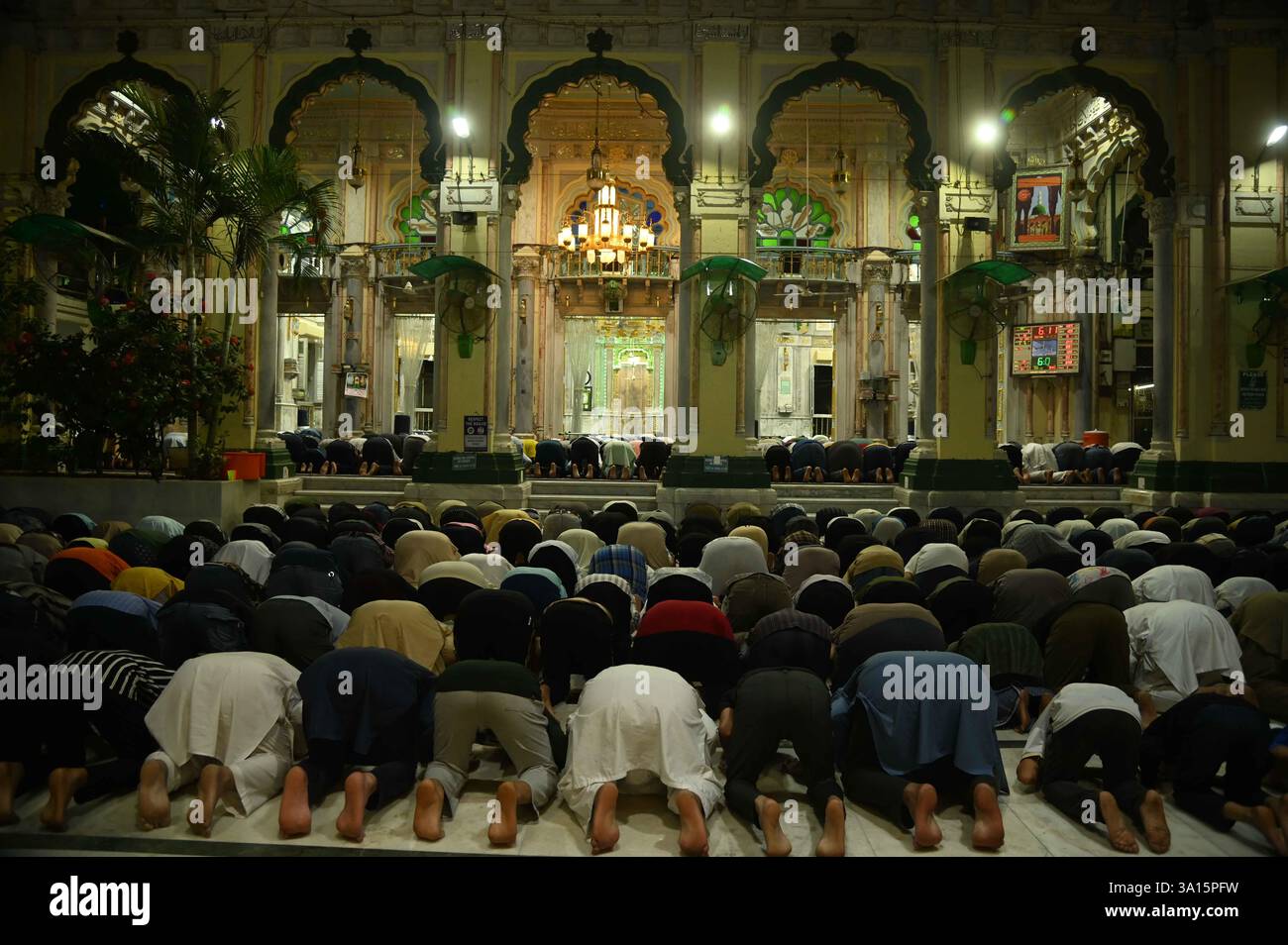 20250307 _7_ jpg hi-res stock photography and images - Alamy