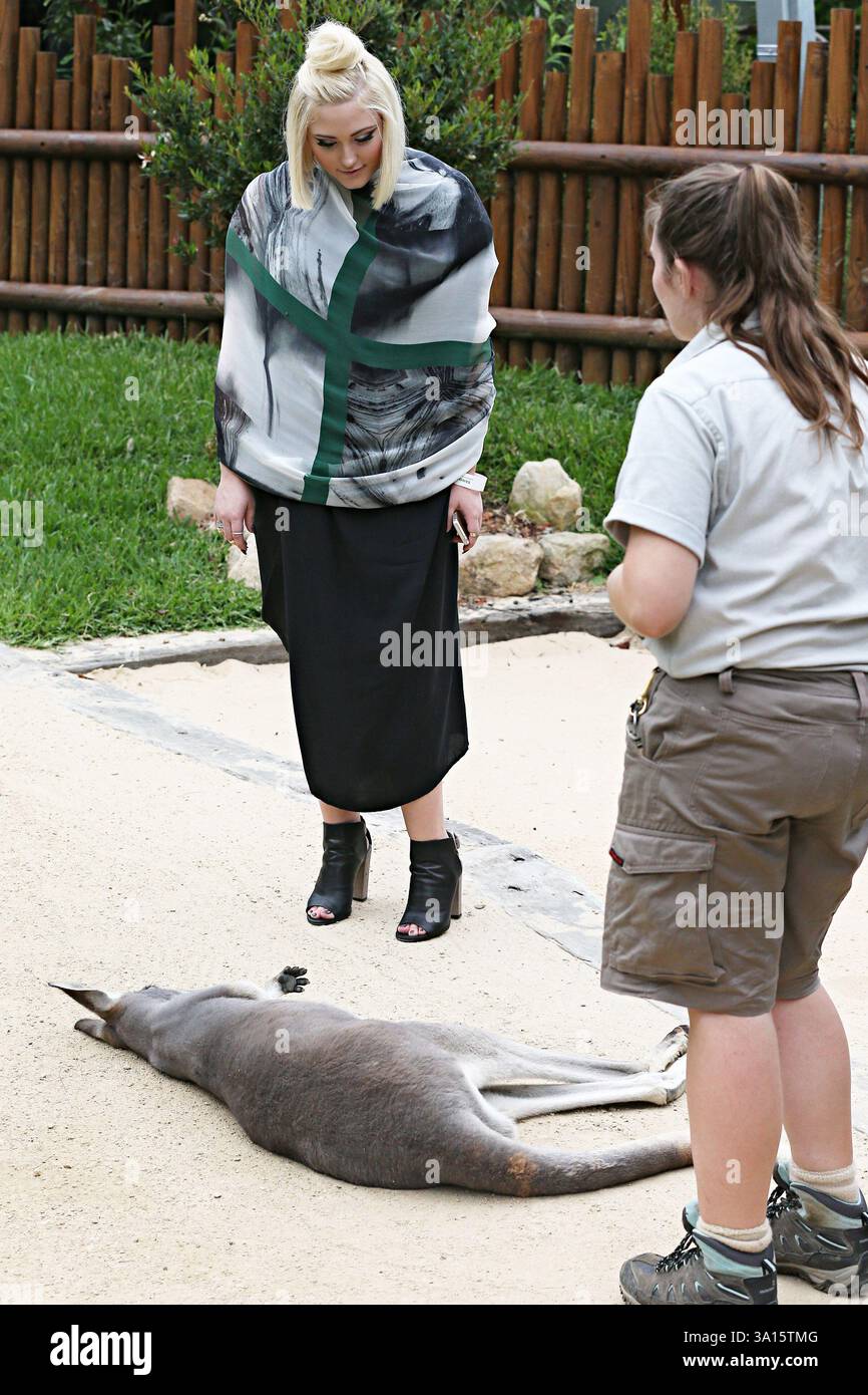 SYDNEY, AUSTRALIA - MARCH 24: Hayley Hasselhoff took a break from ...
