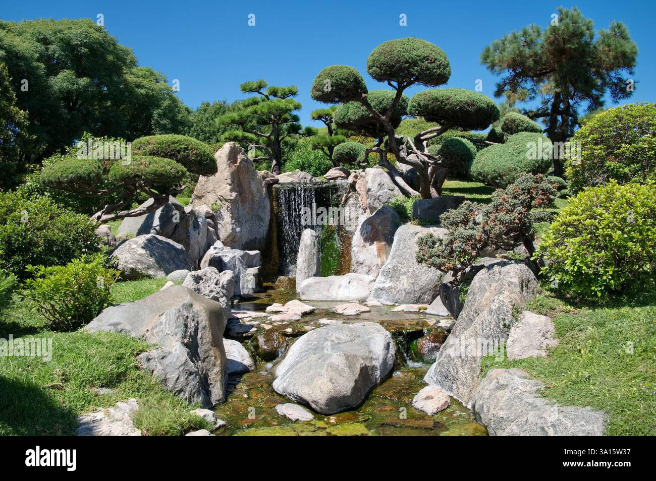 Water with greenery hi-res stock photography and images - Alamy
