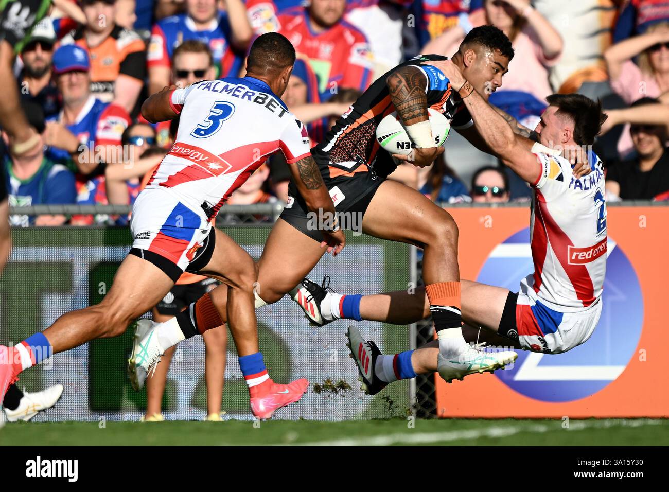 Jeral Skelton of the Tigers pushes through James Schiller of the ...