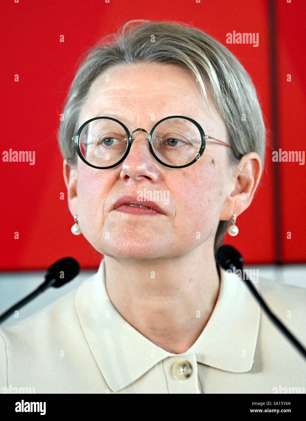 The Annual Results Press Conference of Palfinger AG, entitled "Annual ...