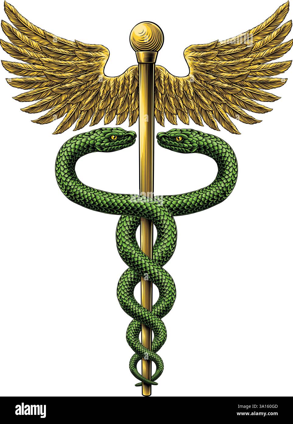 Caduceus Medical Asclepius Rod Doctor Symbol Icon Stock Vector Image ...