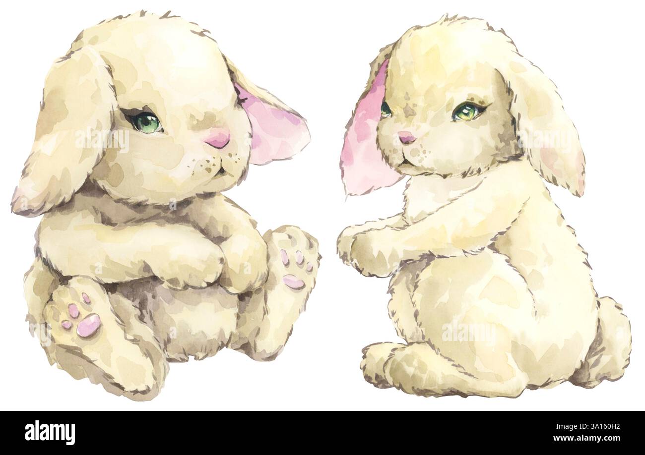 Cute fluffy rabbits. Hand-painted watercolor. Isolated element on white ...