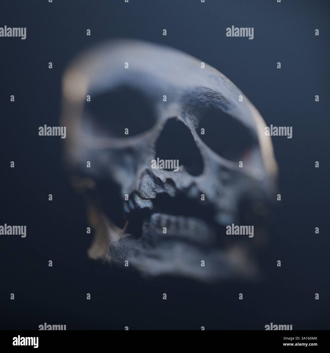 A detailed 3D model of a human skull with distortion effects, evoking a ...