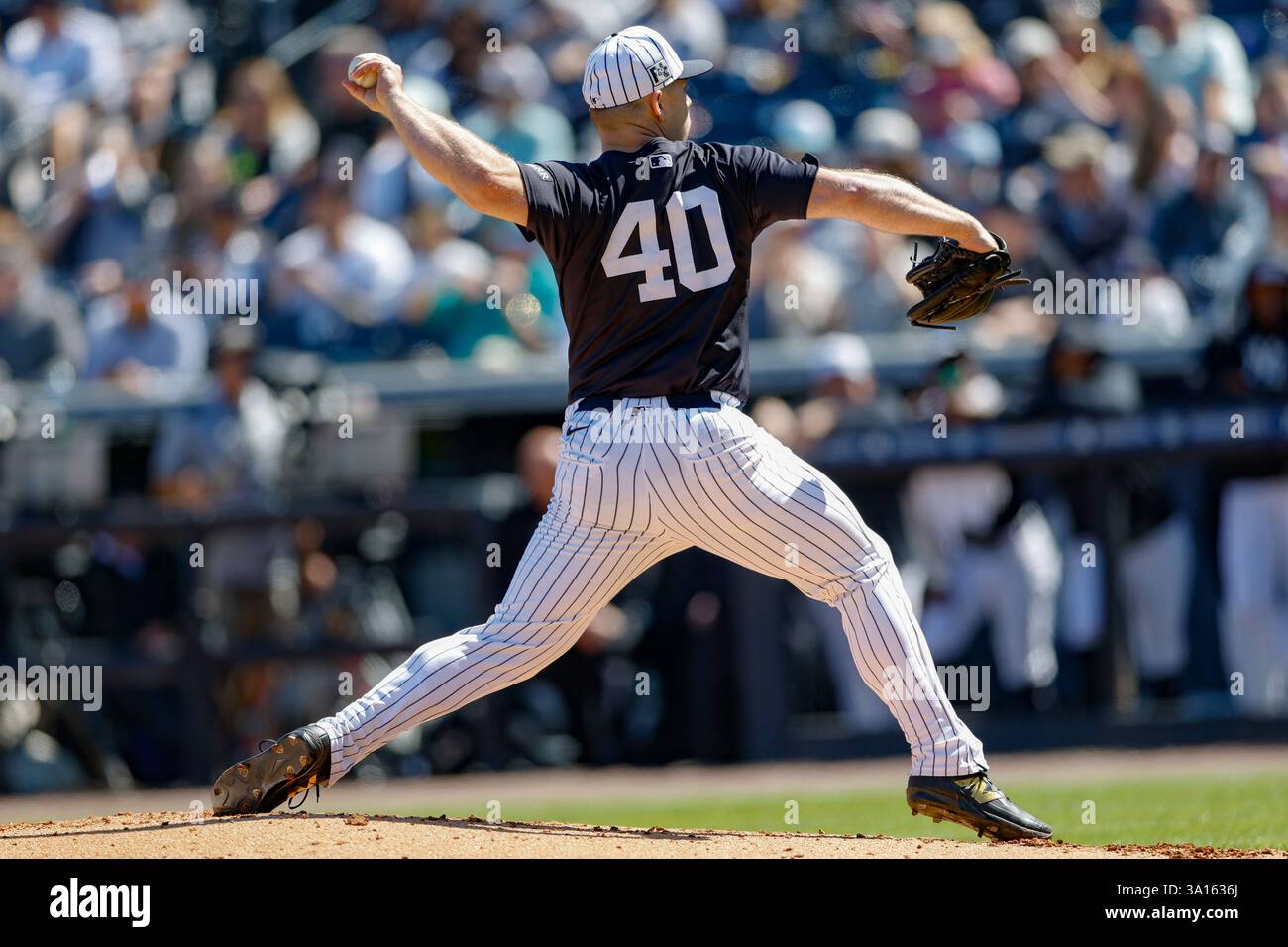 Tampa, FL USA; New York Yankees pitcher Will Brian (40) delivers a ...
