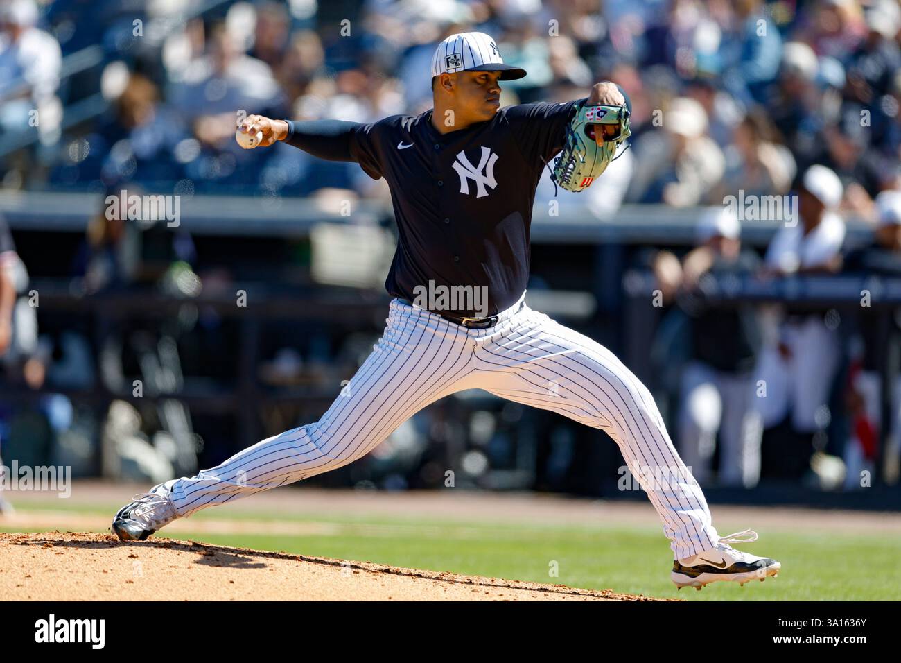 Tampa, FL USA; New York Yankees pitcher Fernando Cruz (63) delivers a pitch during an MLB spring ...