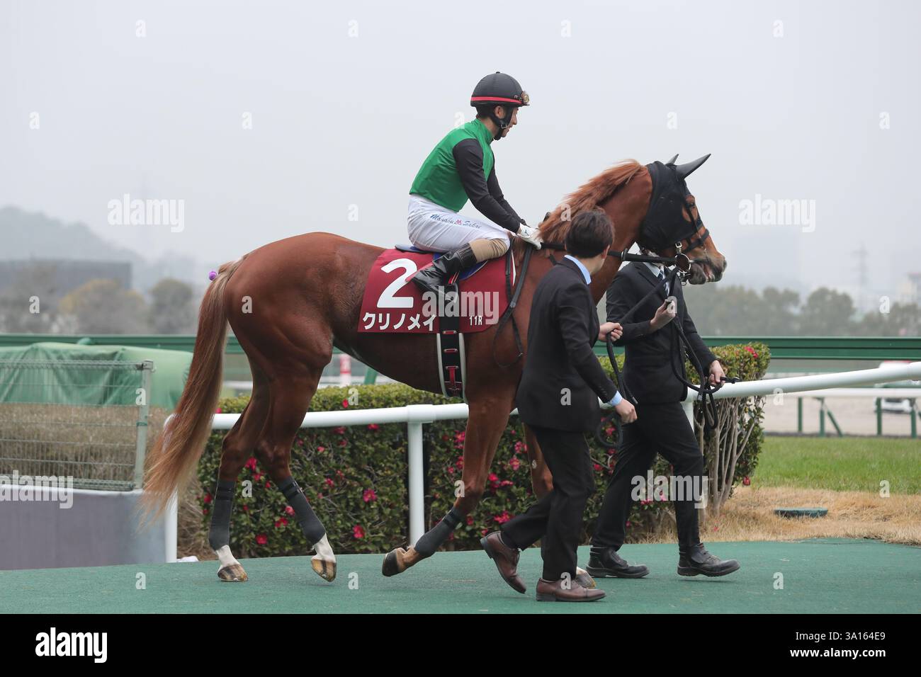 2025/03/02 HANSHIN 11R THE TULIP SHO Kurino Mei / Manabu Sakai Jockey Hanshin Racecourse in ...