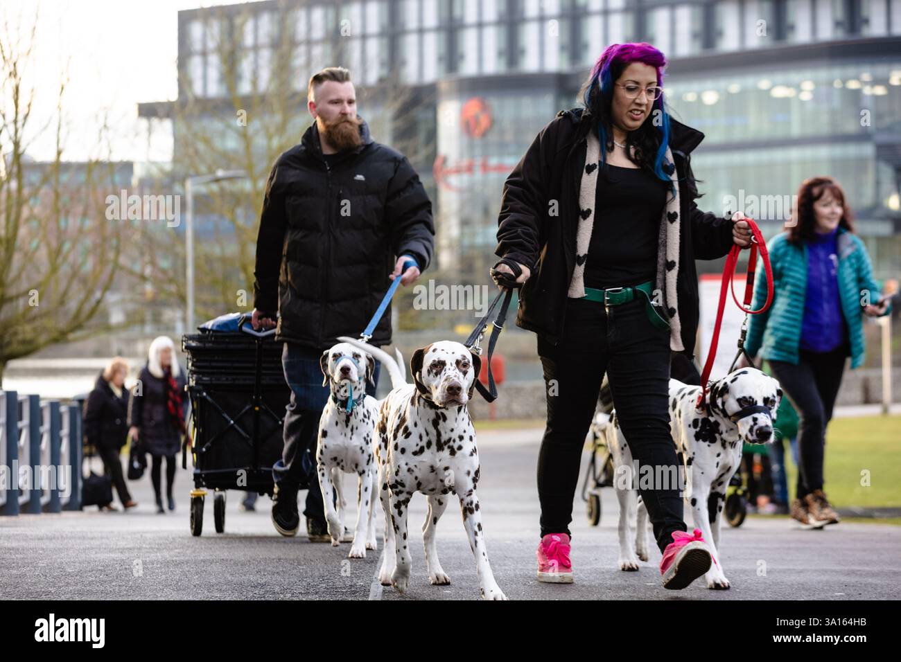 Birmingham, UK. 07th Mar, 2025. Birmingham, 7 March 2025. Dogs from the ...