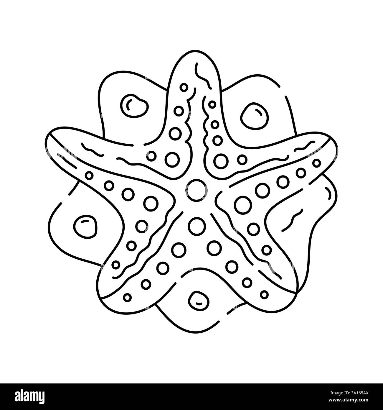 Charming starfish icon, great for beach, marine life, and ocean ...