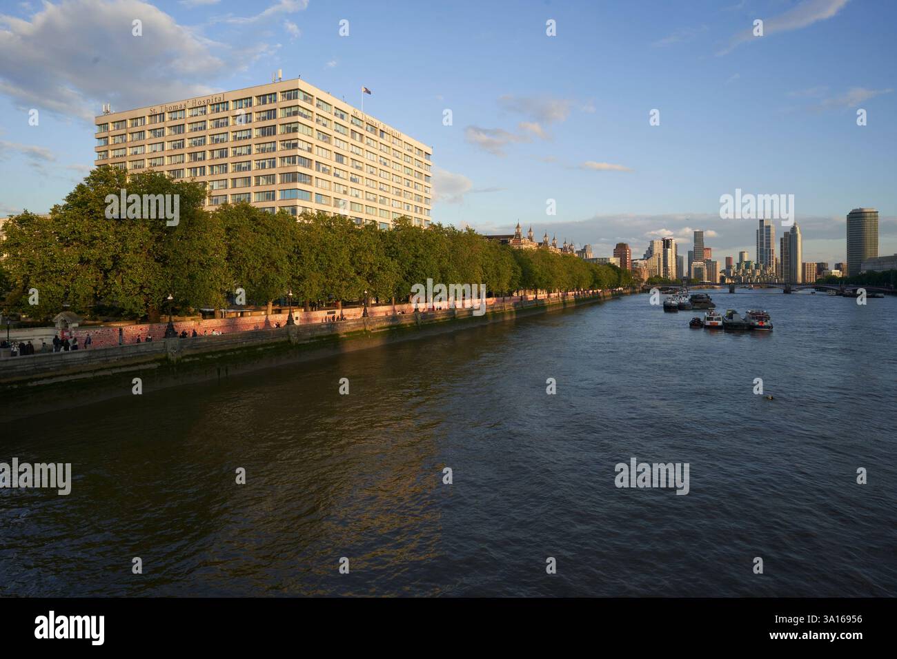 River Thames and St Thomas' Hospital, London, UK Stock Photo - Alamy