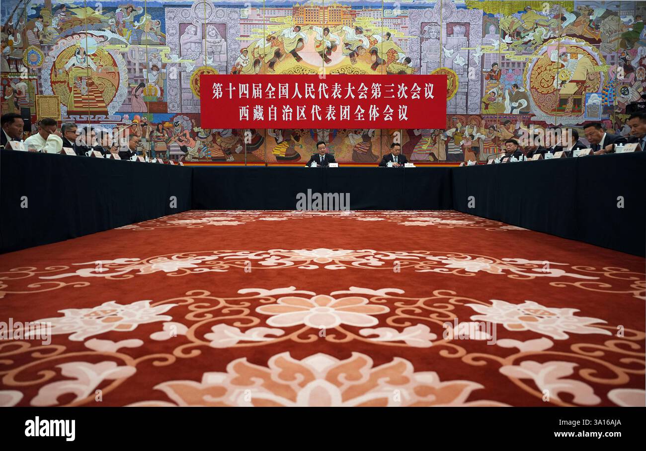 The Tibet Autonomous Region delegation plenary session held on the ...