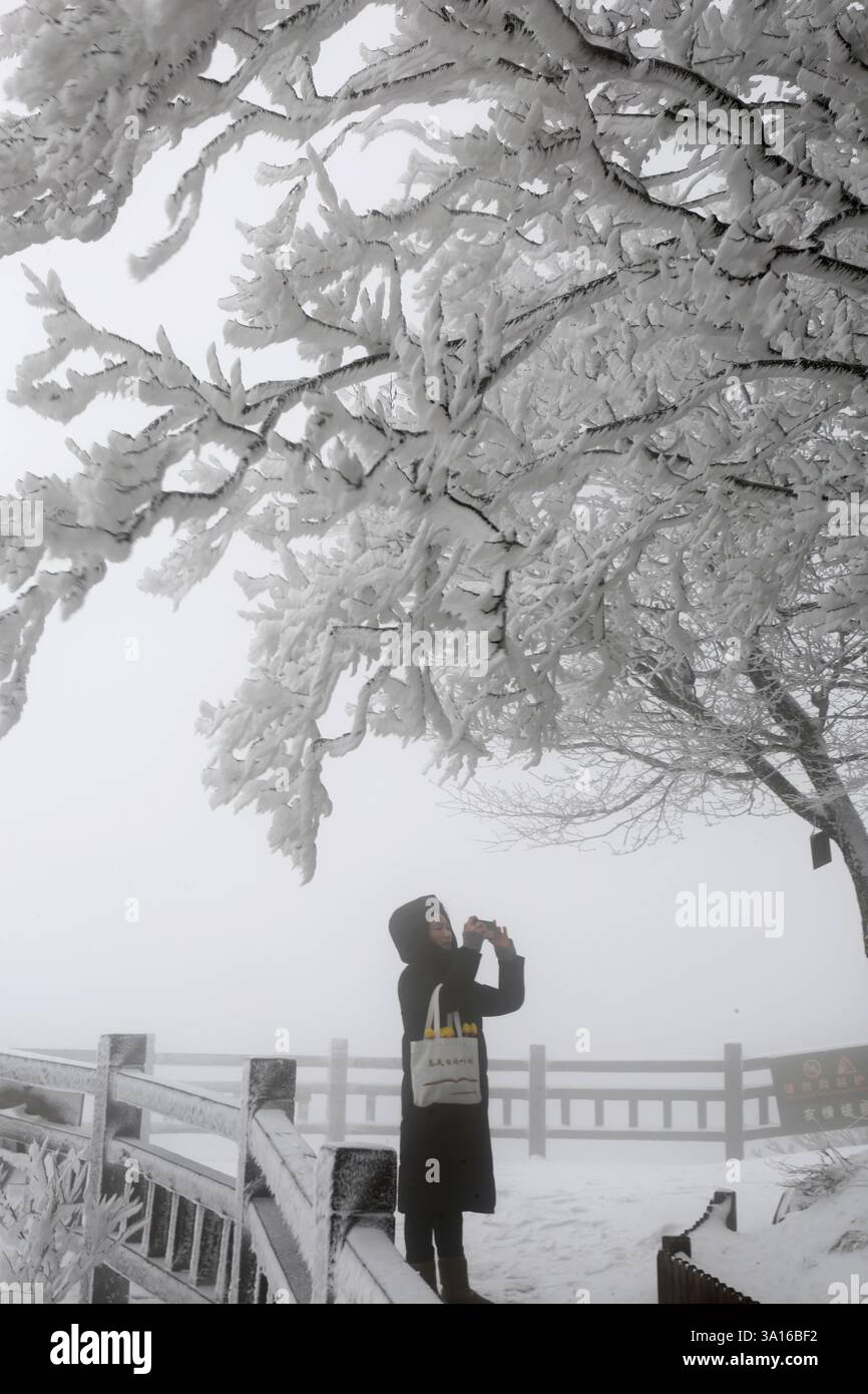 People admire snow scenery in Lianyungang City, east China's Jiangsu ...