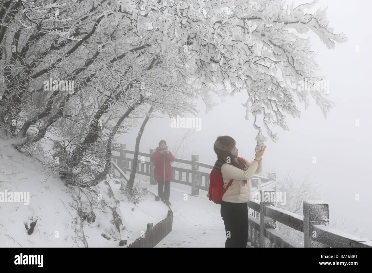 People admire snow scenery in Lianyungang City, east China's Jiangsu ...