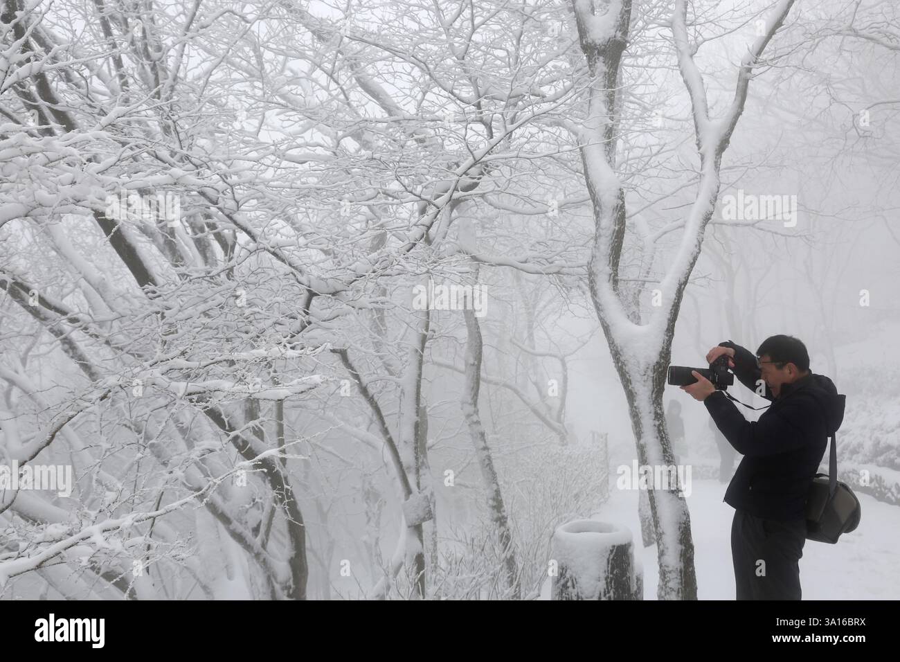 People admire snow scenery in Lianyungang City, east China's Jiangsu ...