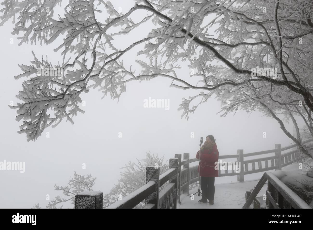 People admire snow scenery in Lianyungang City, east China's Jiangsu ...