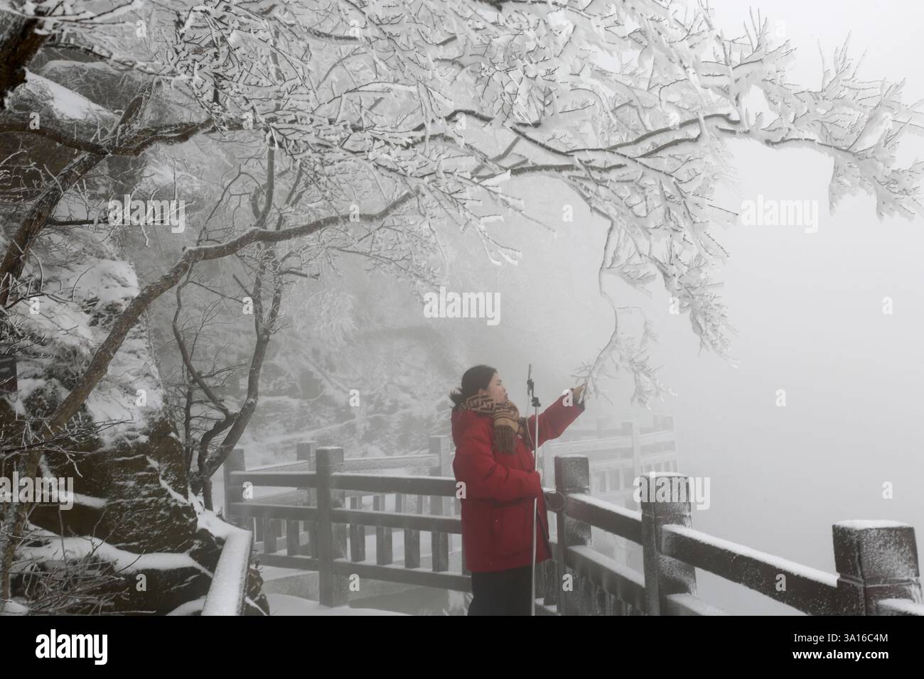 People admire snow scenery in Lianyungang City, east China's Jiangsu ...
