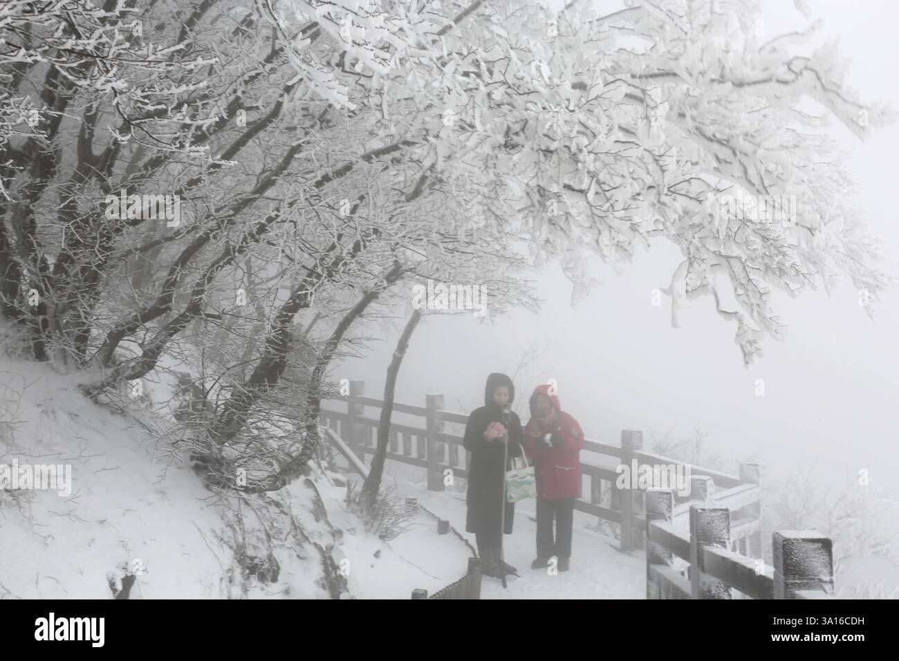 People admire snow scenery in Lianyungang City, east China's Jiangsu ...