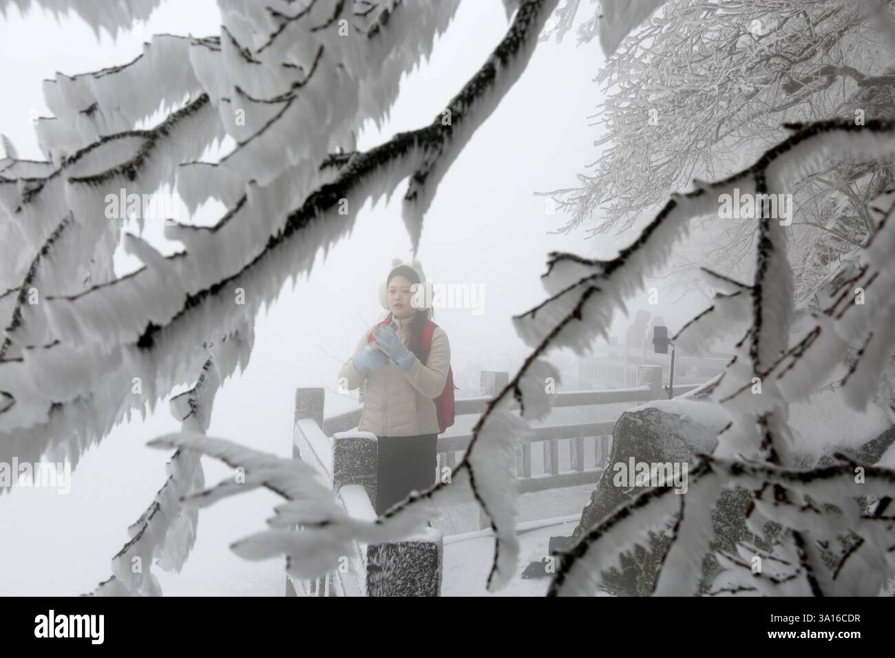 People admire snow scenery in Lianyungang City, east China's Jiangsu ...