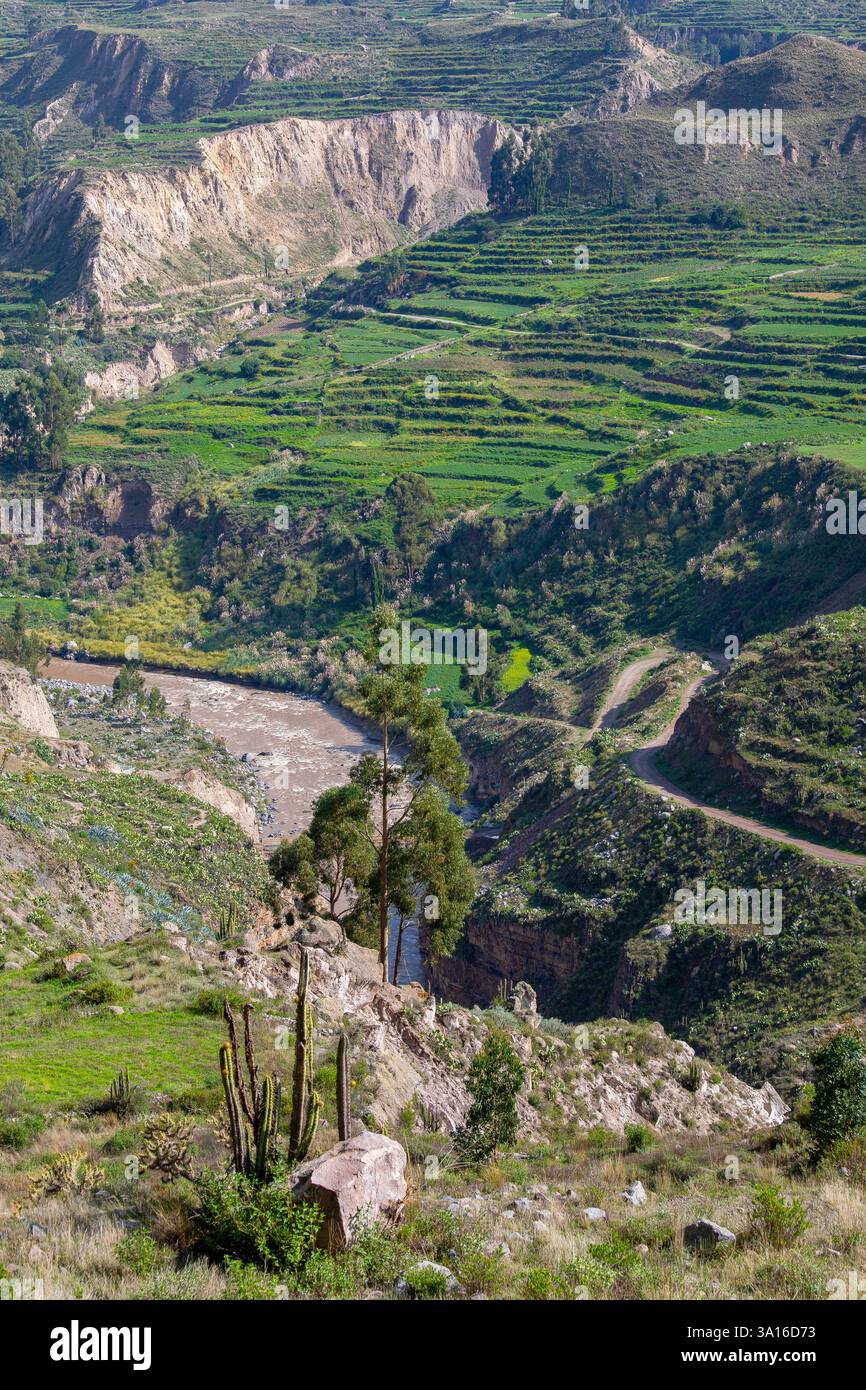 Peru, Andes Cordillera, Colca valley, Tarapoto, the Colca river ...