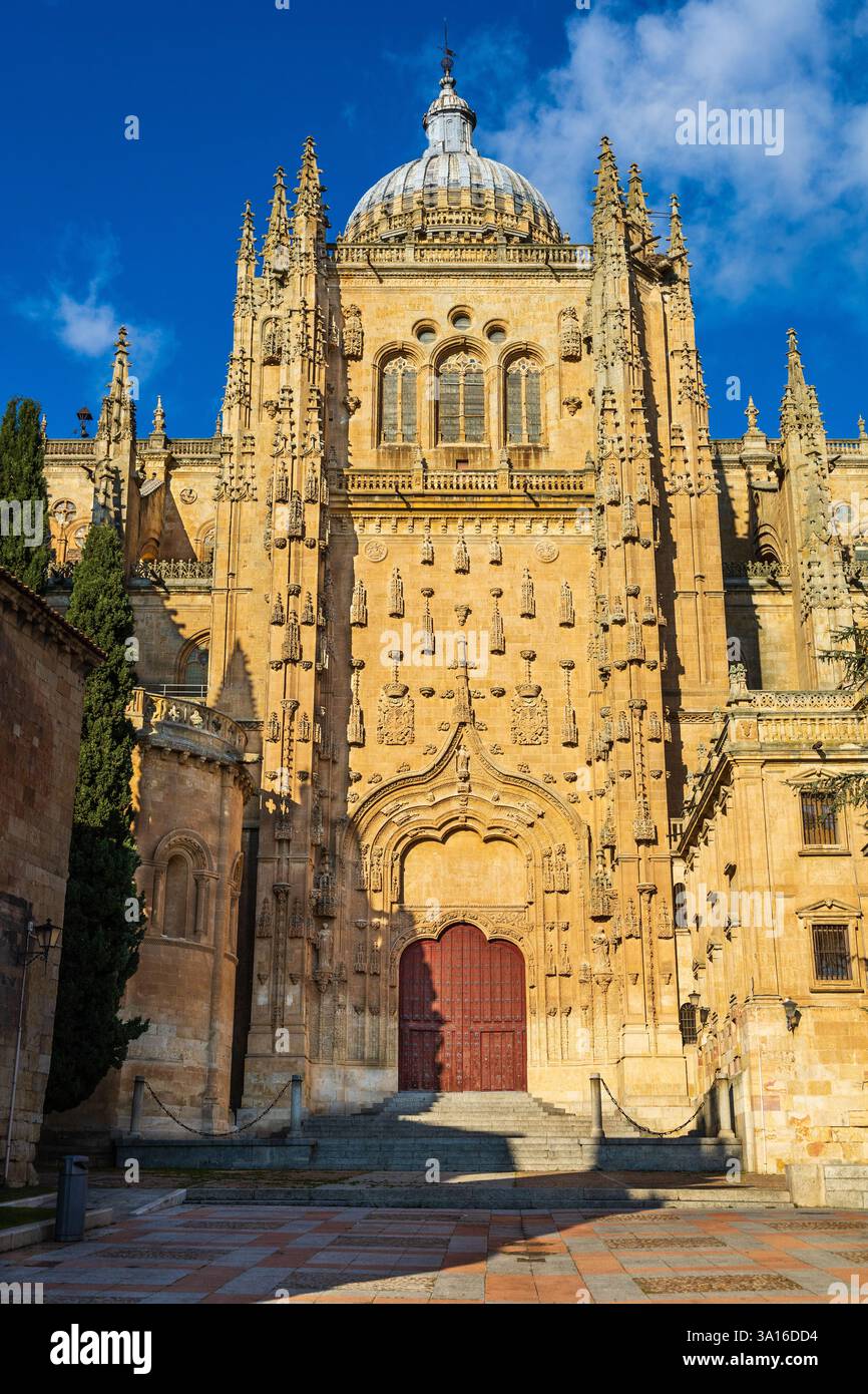 The Plateresque south facade, tower, and dome of the New Cathedral of ...