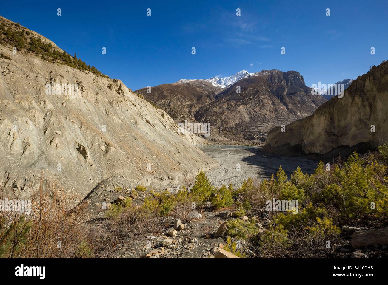 Nepal, Gandaki province, Annapurna Conservation Area, Annapurna Tour ...