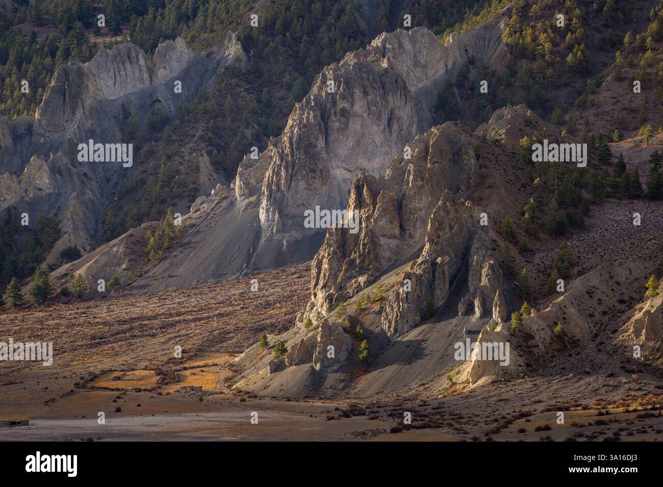 Nepal, Gandaki province, Annapurna Conservation Area, Annapurna Tour ...