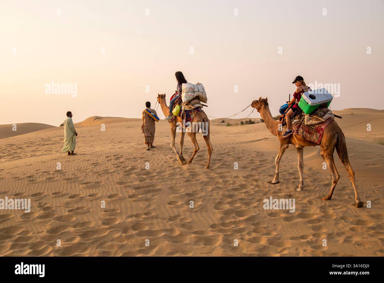 India, Rajasthan, Jaisalmer, Thar Desert, camel desert safari Stock ...