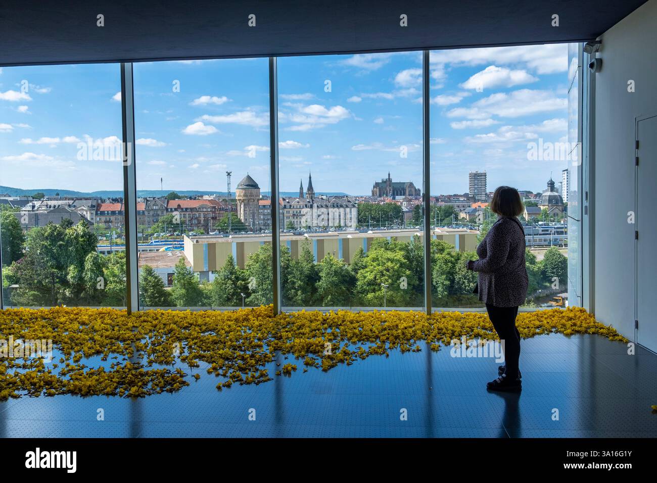 France, Moselle, Metz, Amphitheatre district, Centre Pompidou Metz, art ...