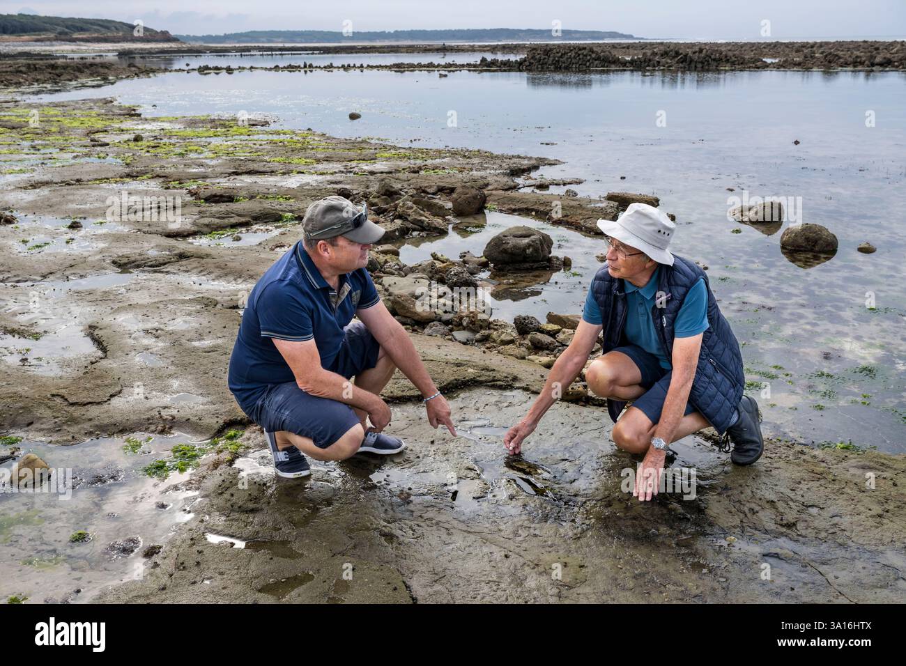 Traces of bipedal dinosaurs hi-res stock photography and images - Alamy