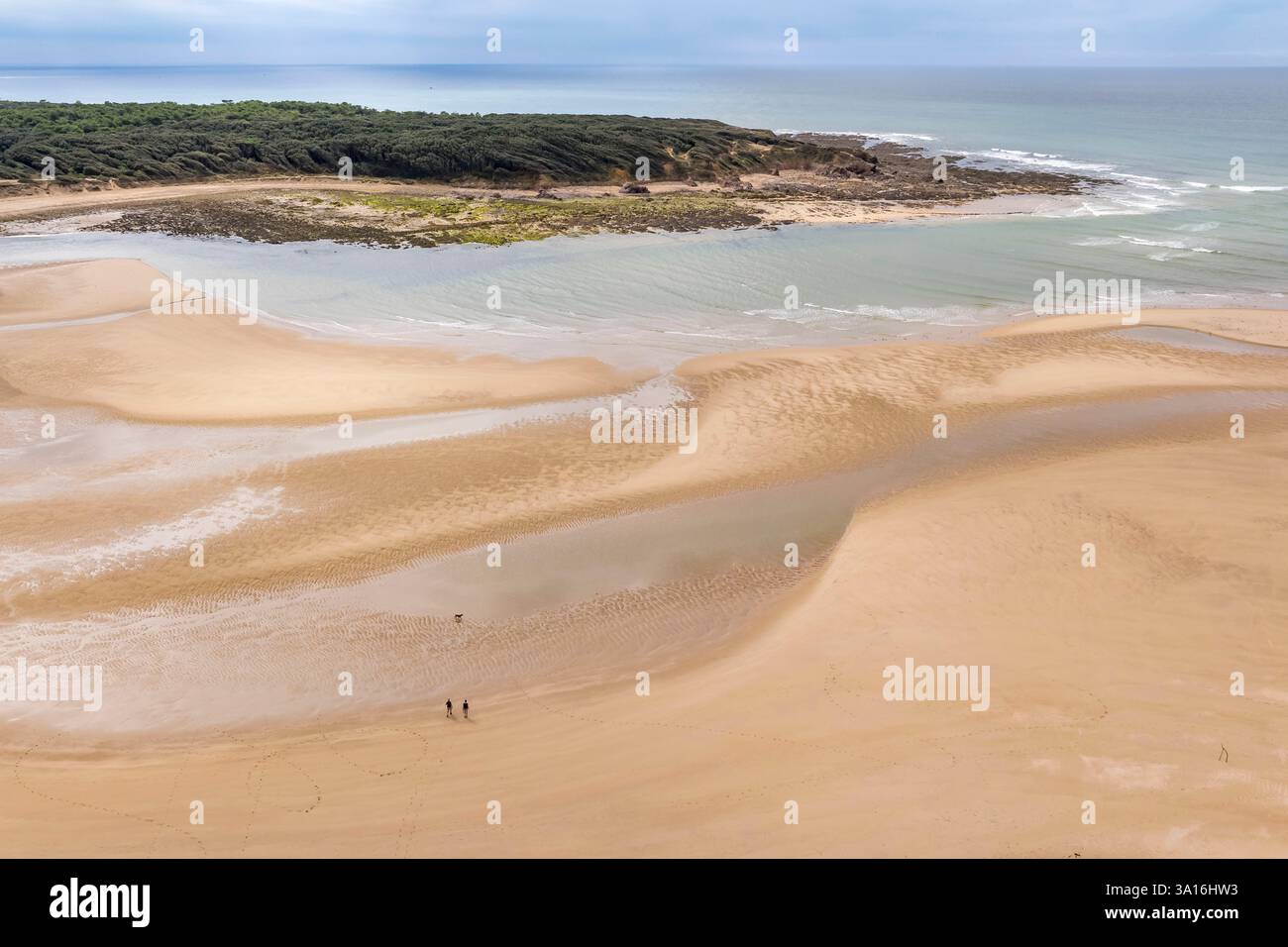 France, Vendée (85), Talmont Saint Hilaire, la Pointe du Payré, Veillon ...