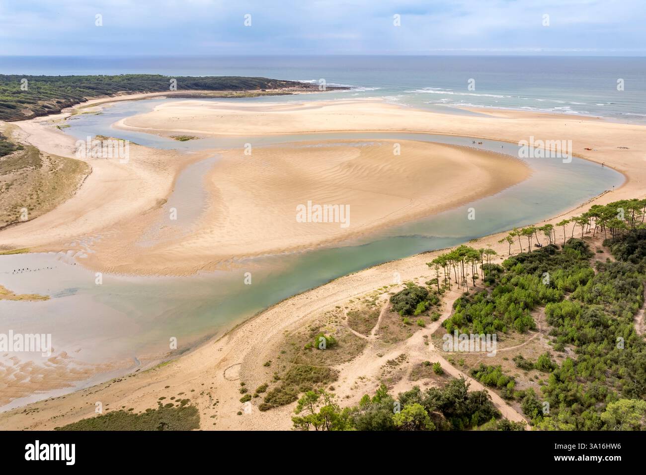 France, Vendée (85), Talmont Saint Hilaire, la Pointe du Payré, the ...