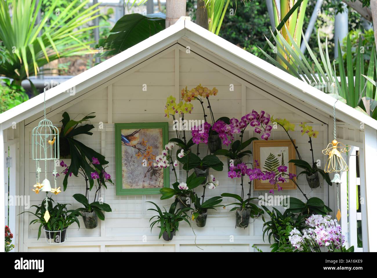 Spring flowers at the China National Botanical Garden attract visitors ...