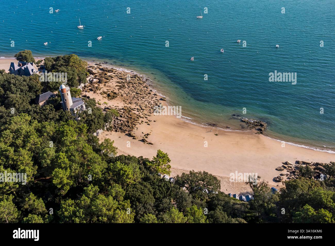 France, Vendée, Noirmoutier island, Noirmoutier en l’Ile, the Bois de ...