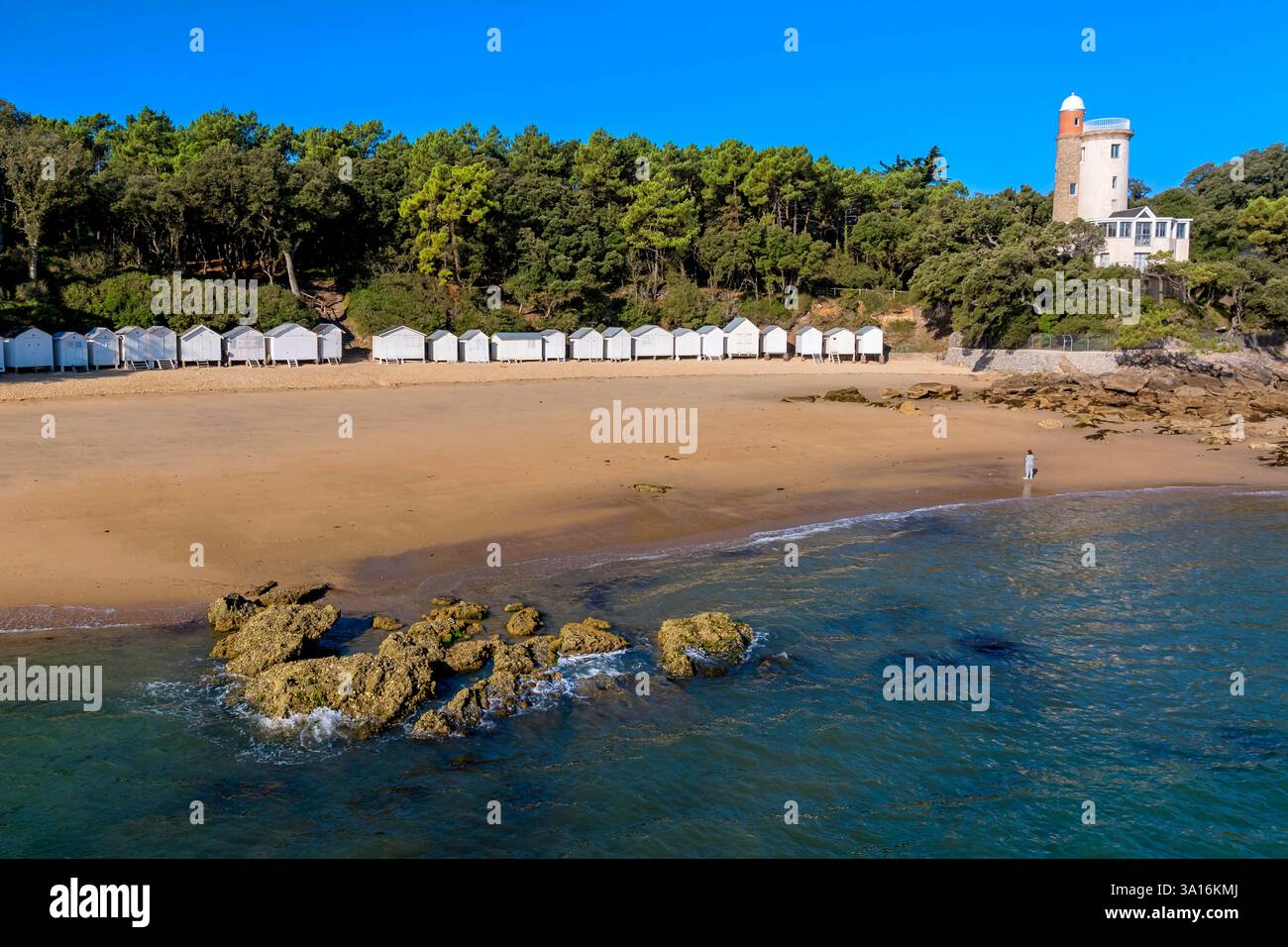 France, Vendée, Noirmoutier island, Noirmoutier en l’Ile, the Bois de ...