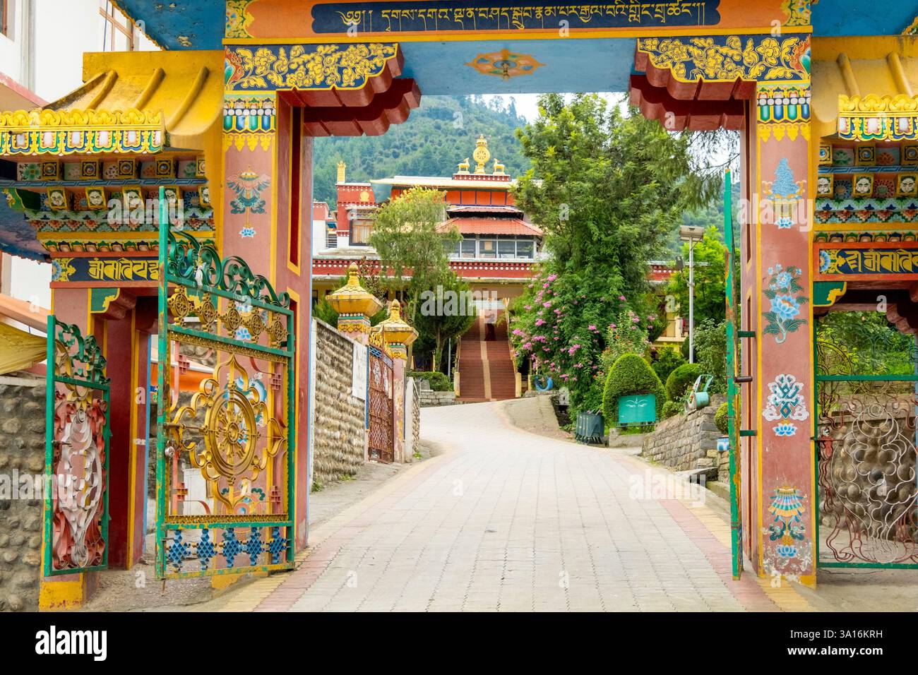 India, Himachal Pradesh state, road to Kasol, Dhakpo Shedrupling ...