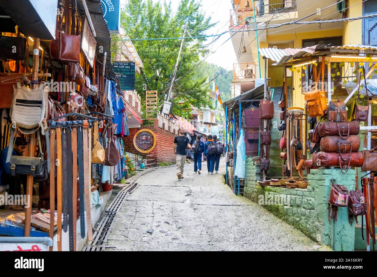 India, Himachal Pradesh state, Kullu valley, Old Manali, main street ...