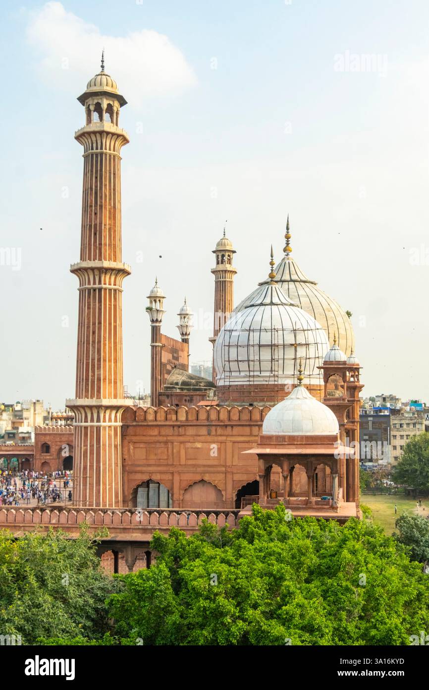 India, Delhi, Old Delhi, Jama Masdid Mosque Stock Photo - Alamy