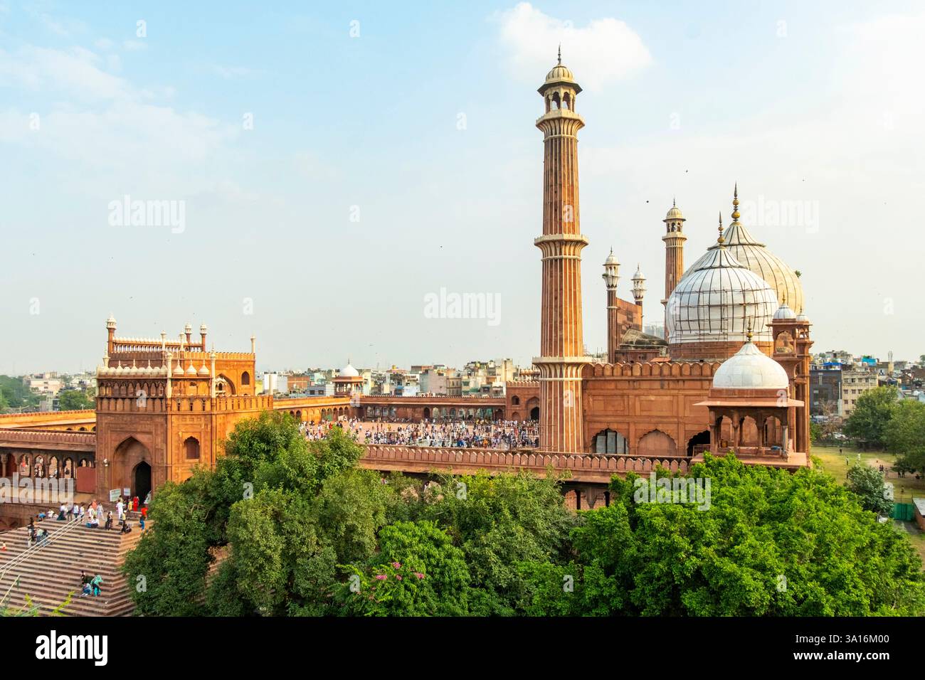 India, Delhi, Old Delhi, Jama Masdid Mosque Stock Photo - Alamy