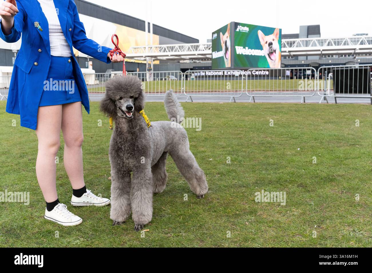 Crufts 2025 outside arena hi-res stock photography and images - Alamy