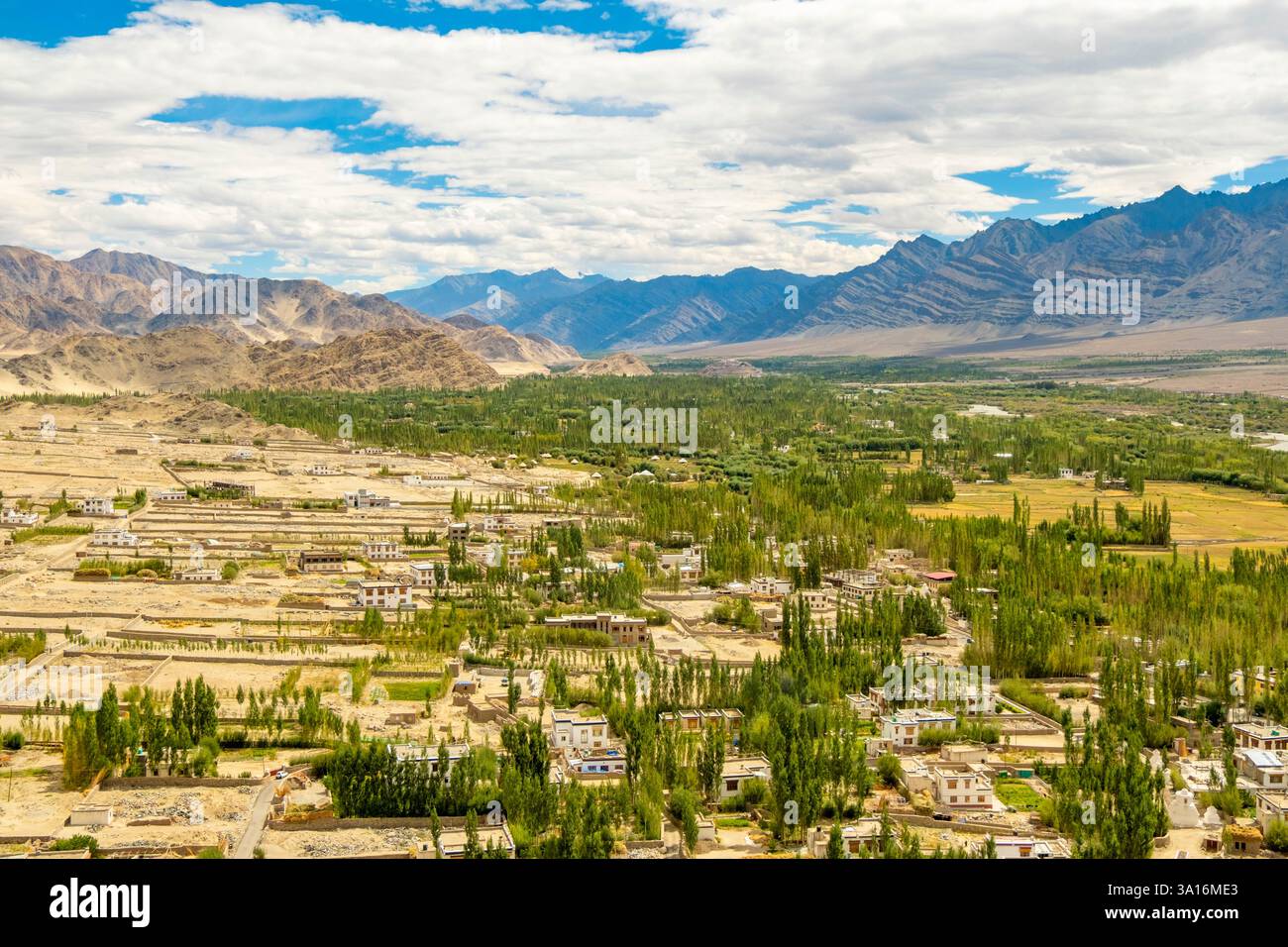 India, Ladakh state, Leh area, Indus Valley, view from Thiksey ...