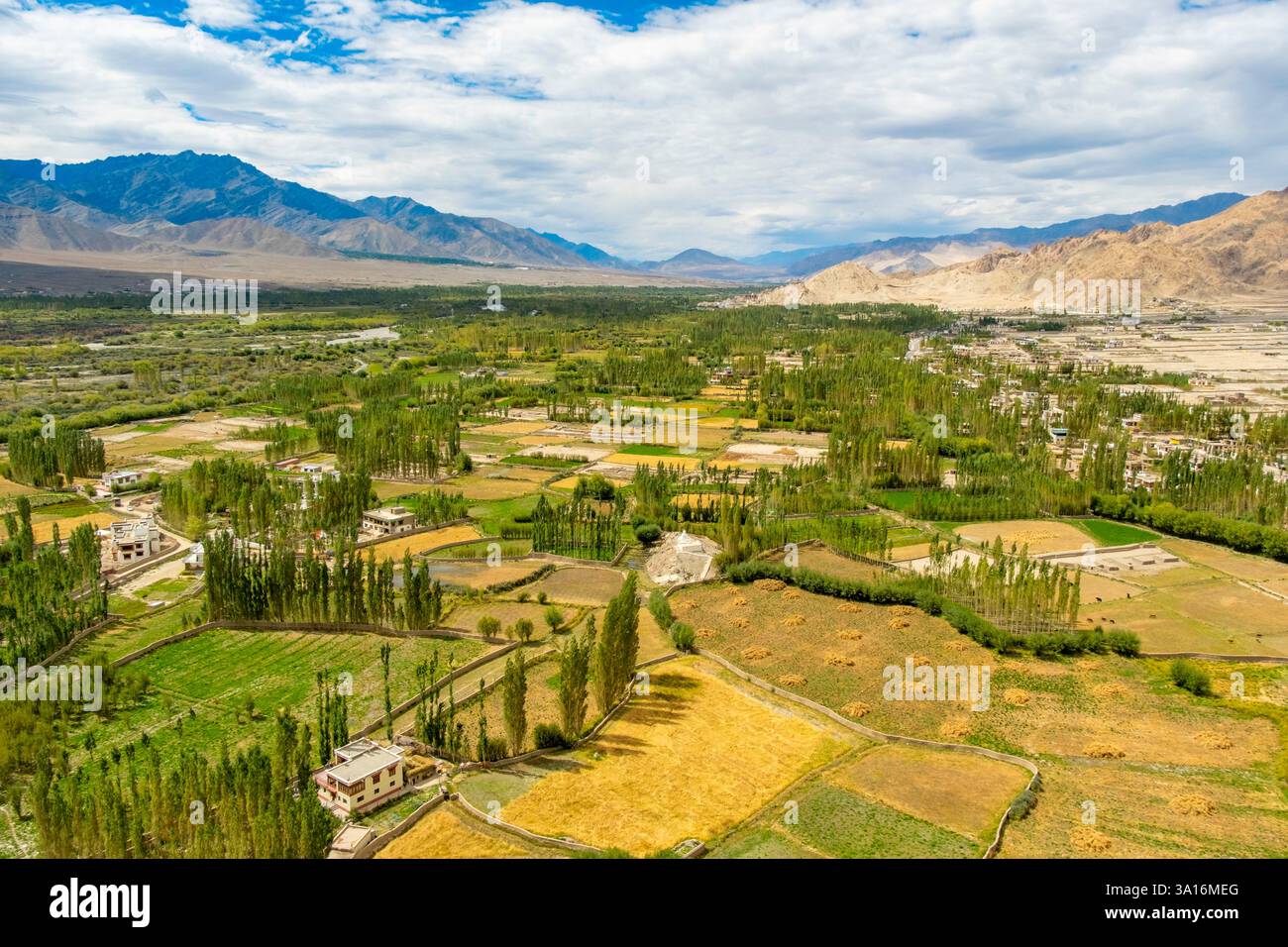 India, Ladakh state, Leh area, Indus Valley, view from Thiksey ...