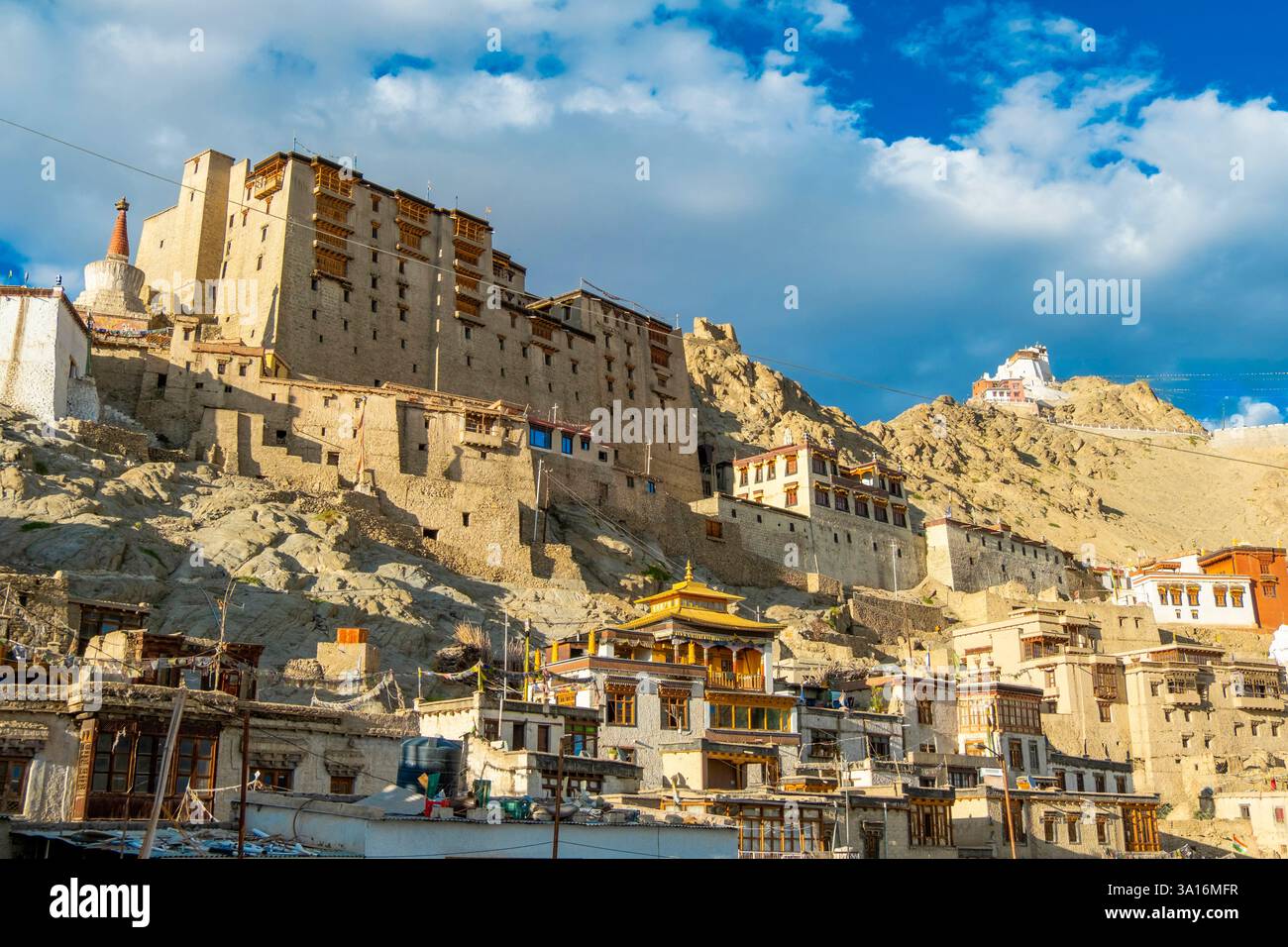 India, Ladakh state, Leh city, the castle Stock Photo - Alamy