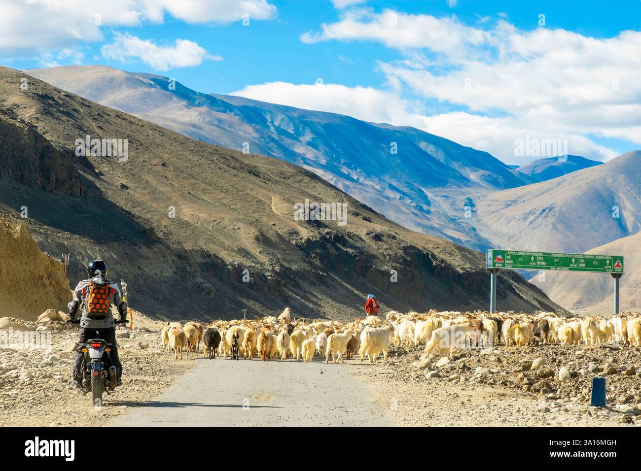 India, Ladakh state, Trans-Himalayan, motorbike tour on Royal enfield ...