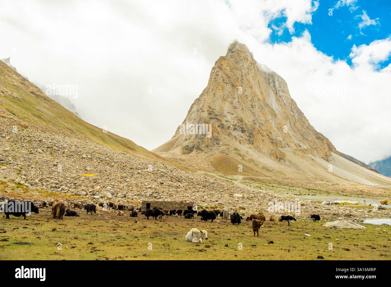 India, Ladakh state, Trans-Himalayan, motorbike tour on Royal enfield ...