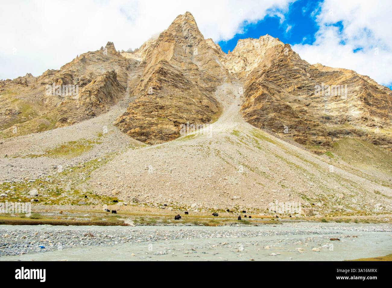 India, Ladakh state, Trans-Himalayan, motorbike tour on Royal enfield ...