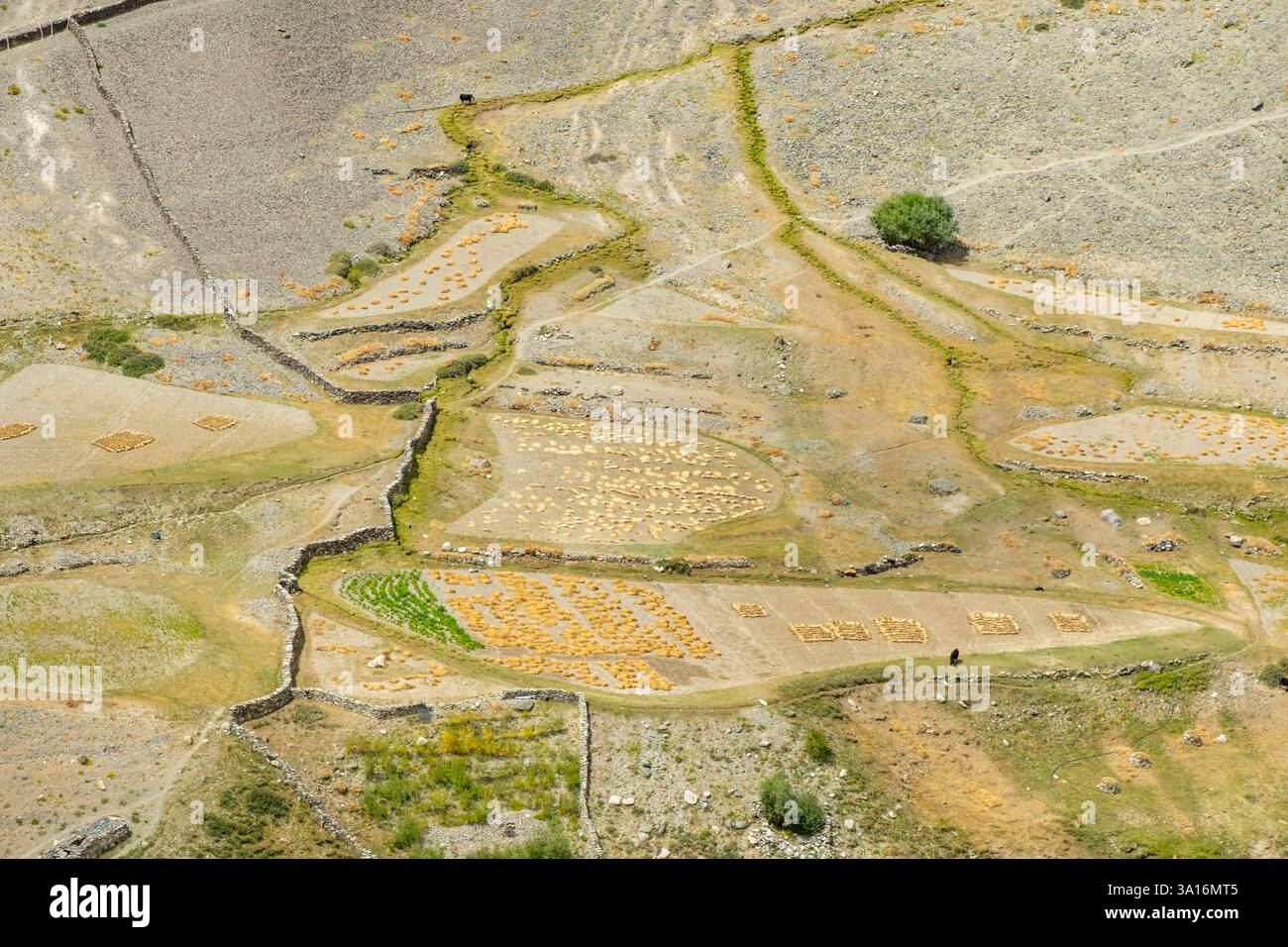 India, Ladakh state, Trans-Himalayan, motorbike tour on Royal enfield ...