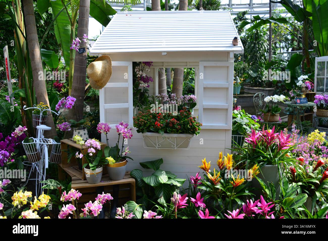 Spring flowers at the China National Botanical Garden attract visitors ...