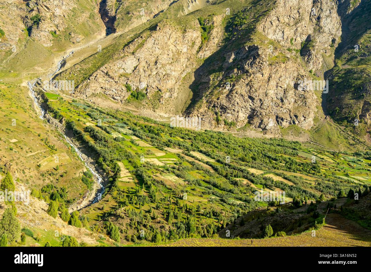 India, Himachal Pradesh state, Trans-Himalayan, motorbike tour on Royal ...