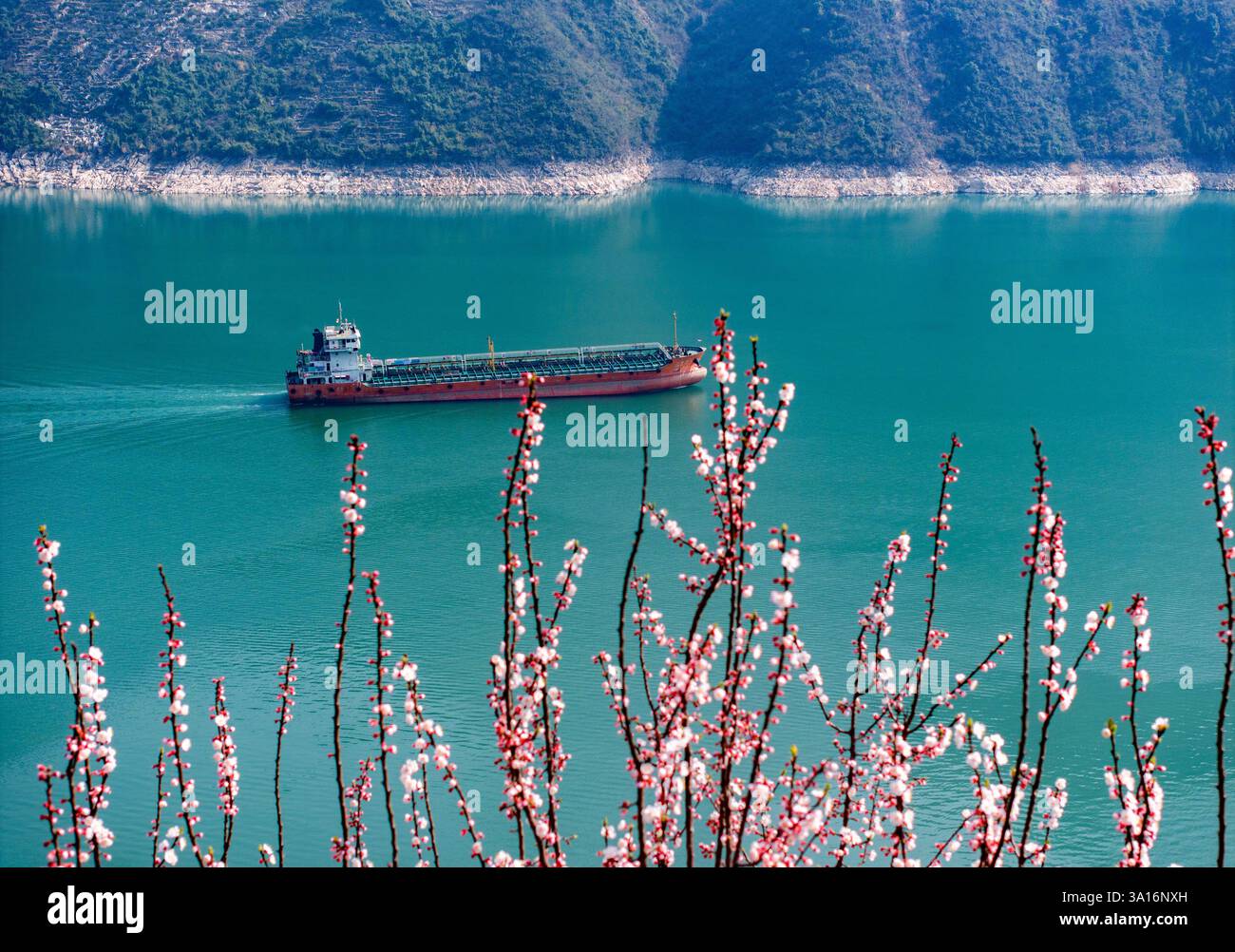 A cargo ship sails in the Xiling Gorge of the Three Gorges of the ...